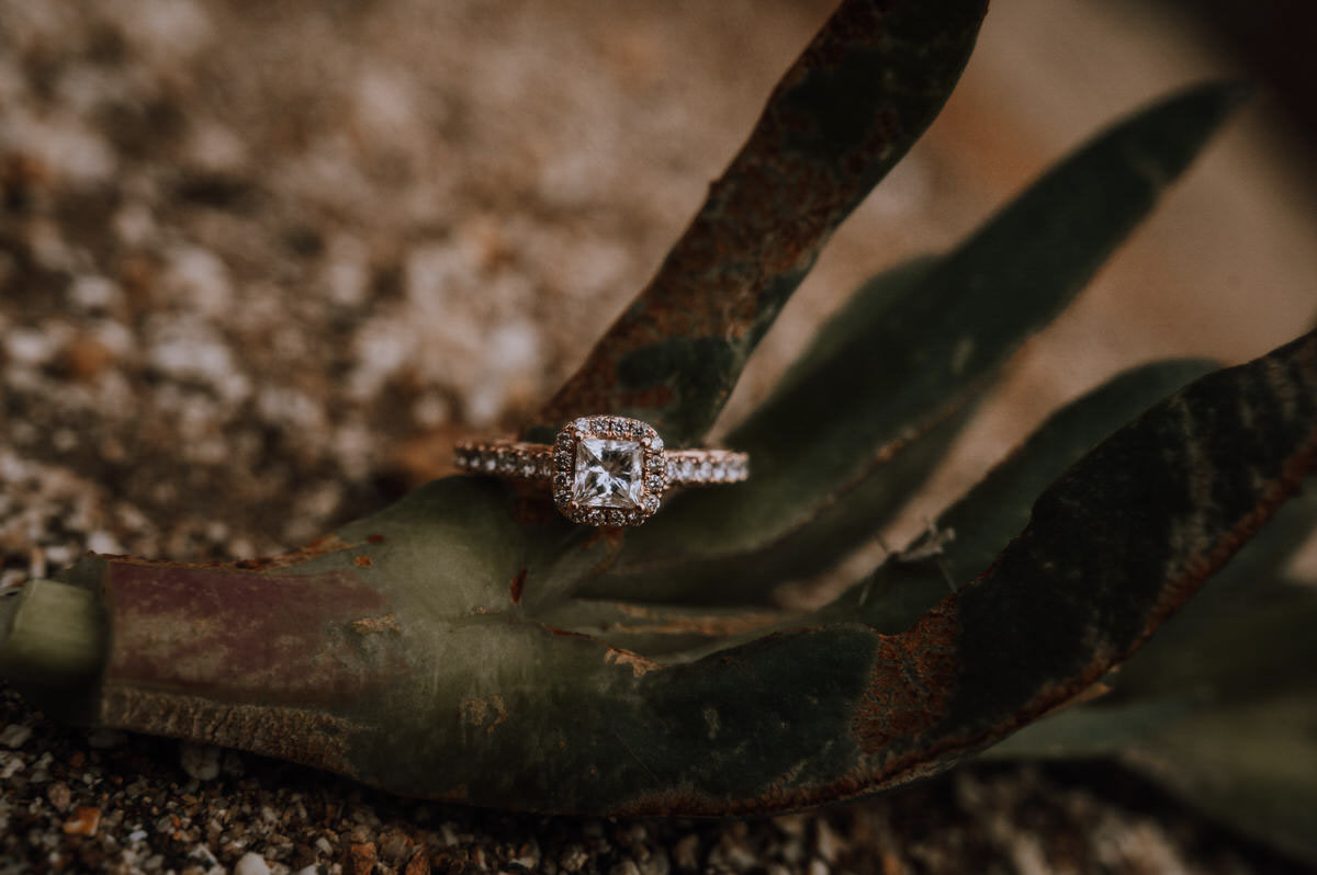 How to Propose: 5 Steps to Help You Pop the Big Question ...